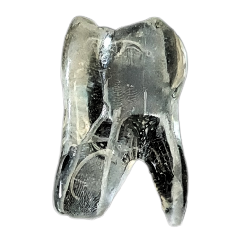 EndoClear 4 CANAIS 17 Acessado | Biom 3D