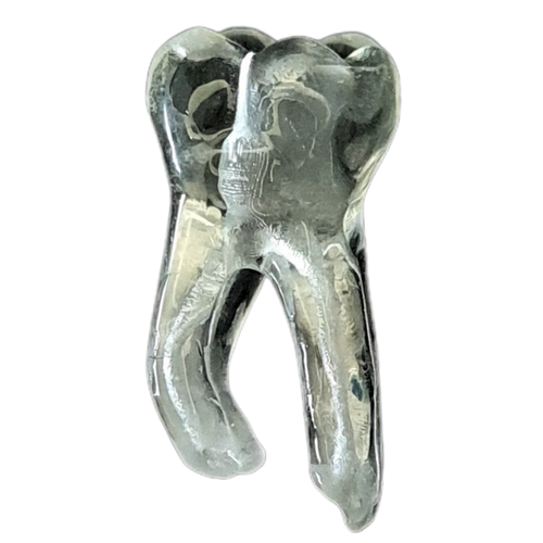 EndoClear 4 CANAIS 36 Acessado | Biom 3D