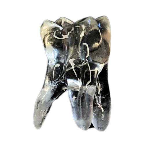 EndoClear CLEAN 16 (Acessado) | Biom 3D