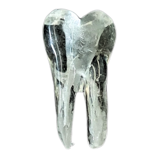 EndoClear 4 CANAIS 37 Acessado | Biom 3D