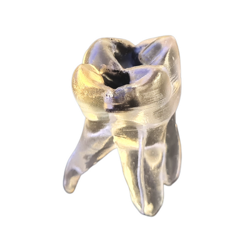 EndoClear CARIES 16 | Biom 3D