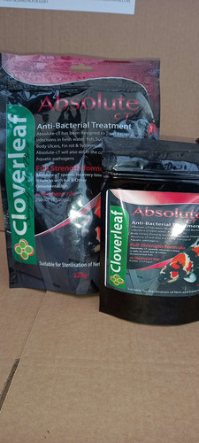 CLOVERLEAF,CHLORAMINE T | Walker Koi