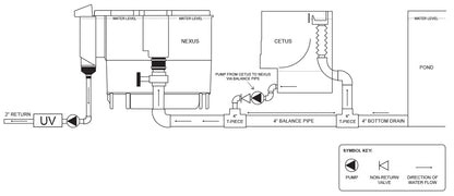 CETUS SIEVE | Walker Koi