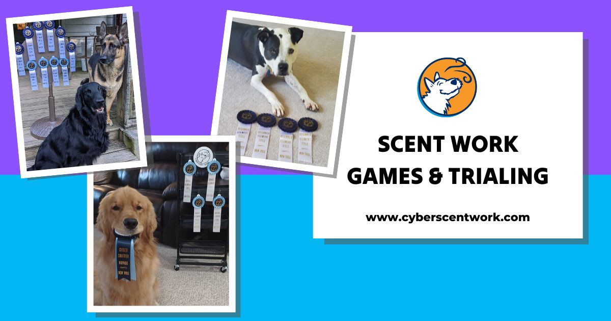 Home | Cyber Scent Work, Inc.