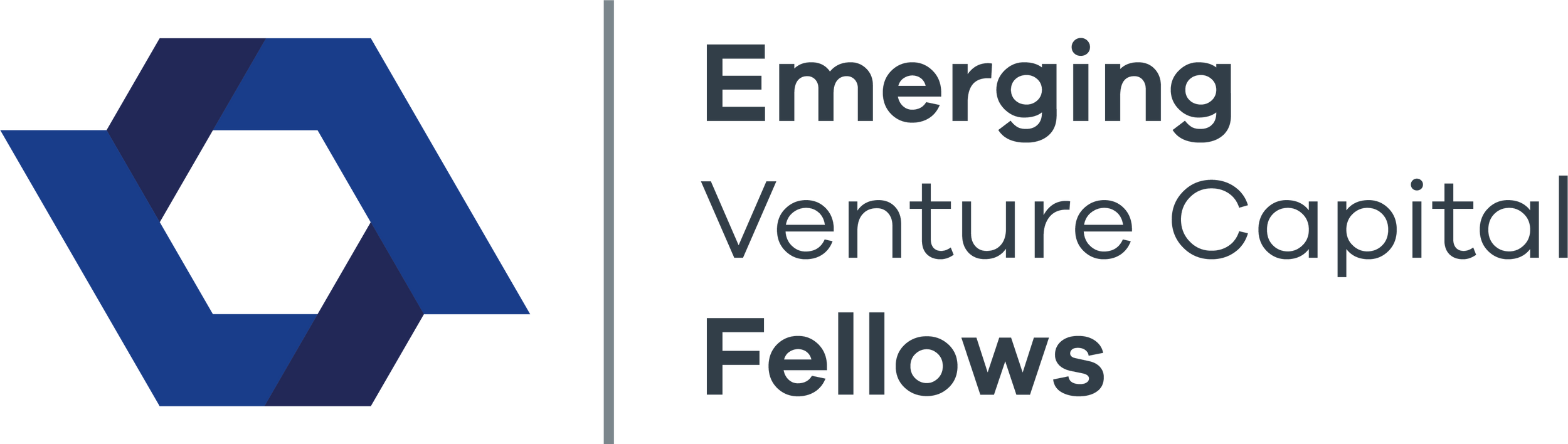 Vc Toolkit Emerging Vc Fellows
