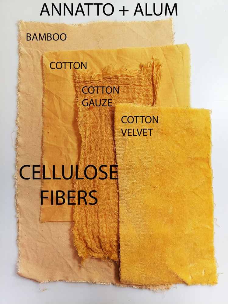 Annatto ~ Natural Dye Results