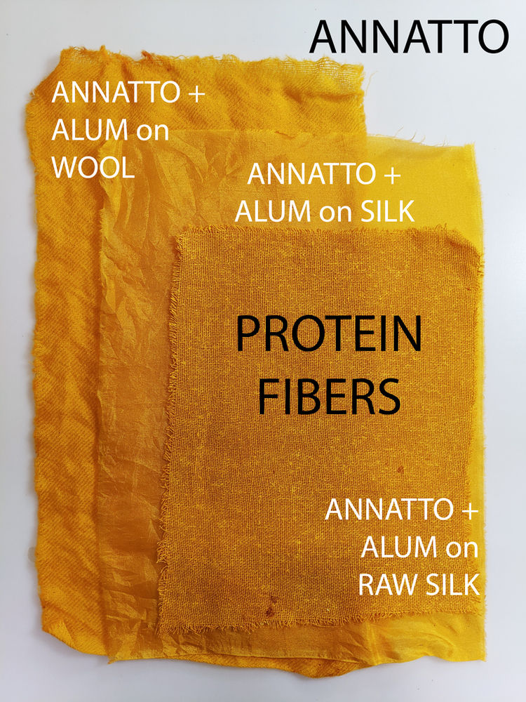 Annatto ~ Natural Dye Results