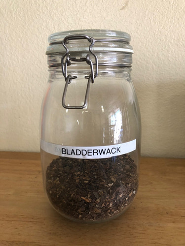 Bladderwack | SACRED STONEZ
