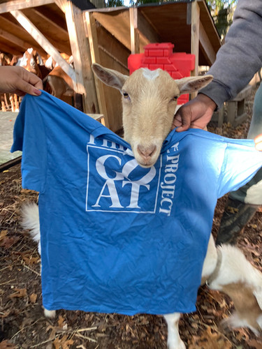 Adult Tee | Philly Goat Project