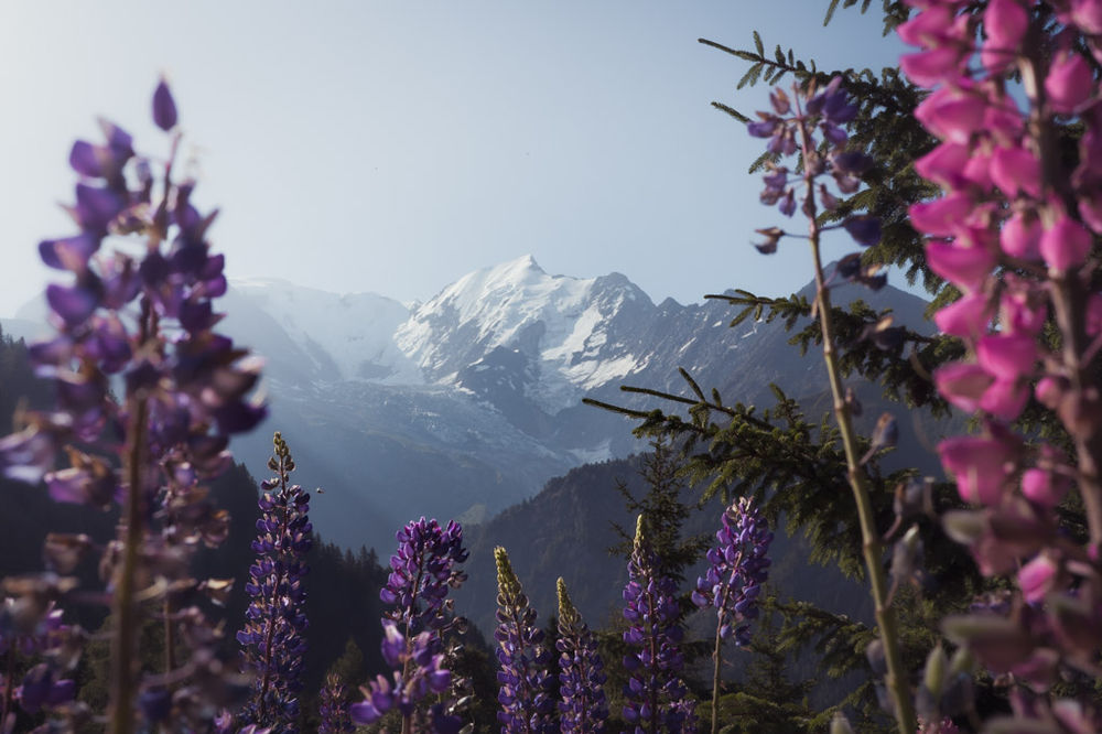 The Tour Du Mont Blanc (TMB) Hiking Circuit