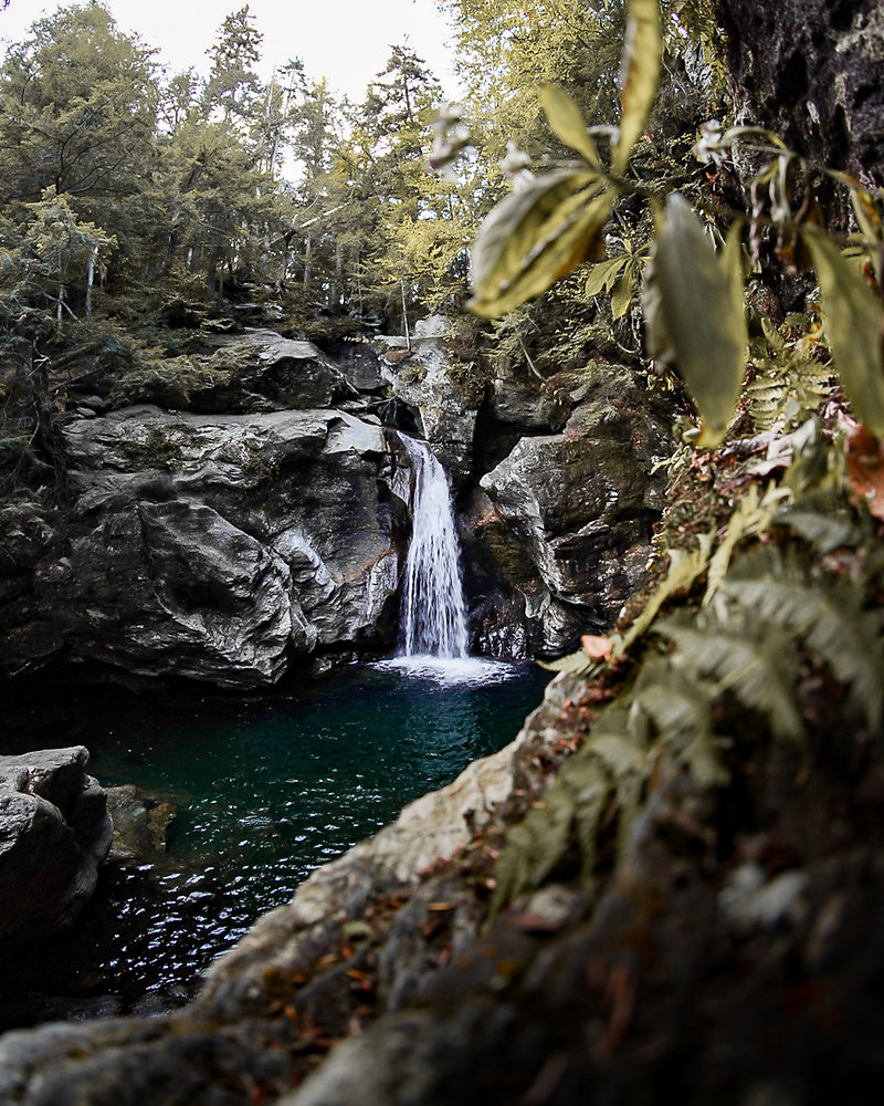 Bingham Falls