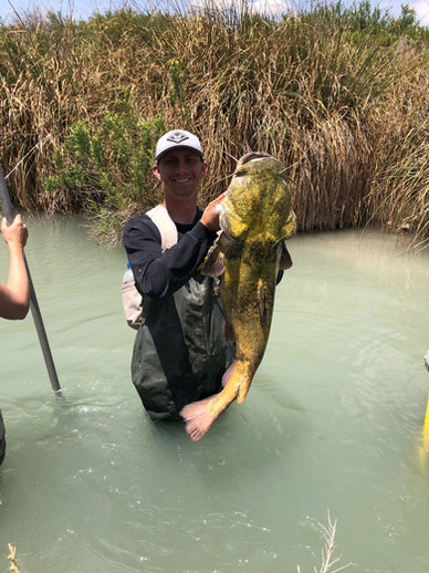 Texas Hornshell Mussel | CEHMM