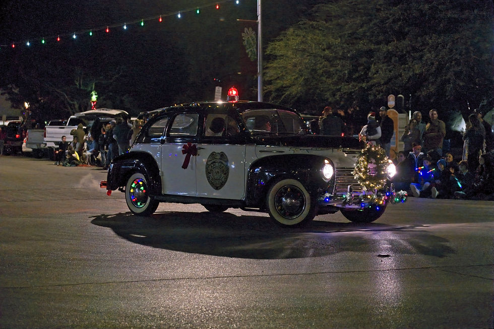 ELECTRIC LIGHT PARADE | MainStreet