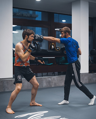 Mixed Martial Arts | Elite Level martial arts | Genève