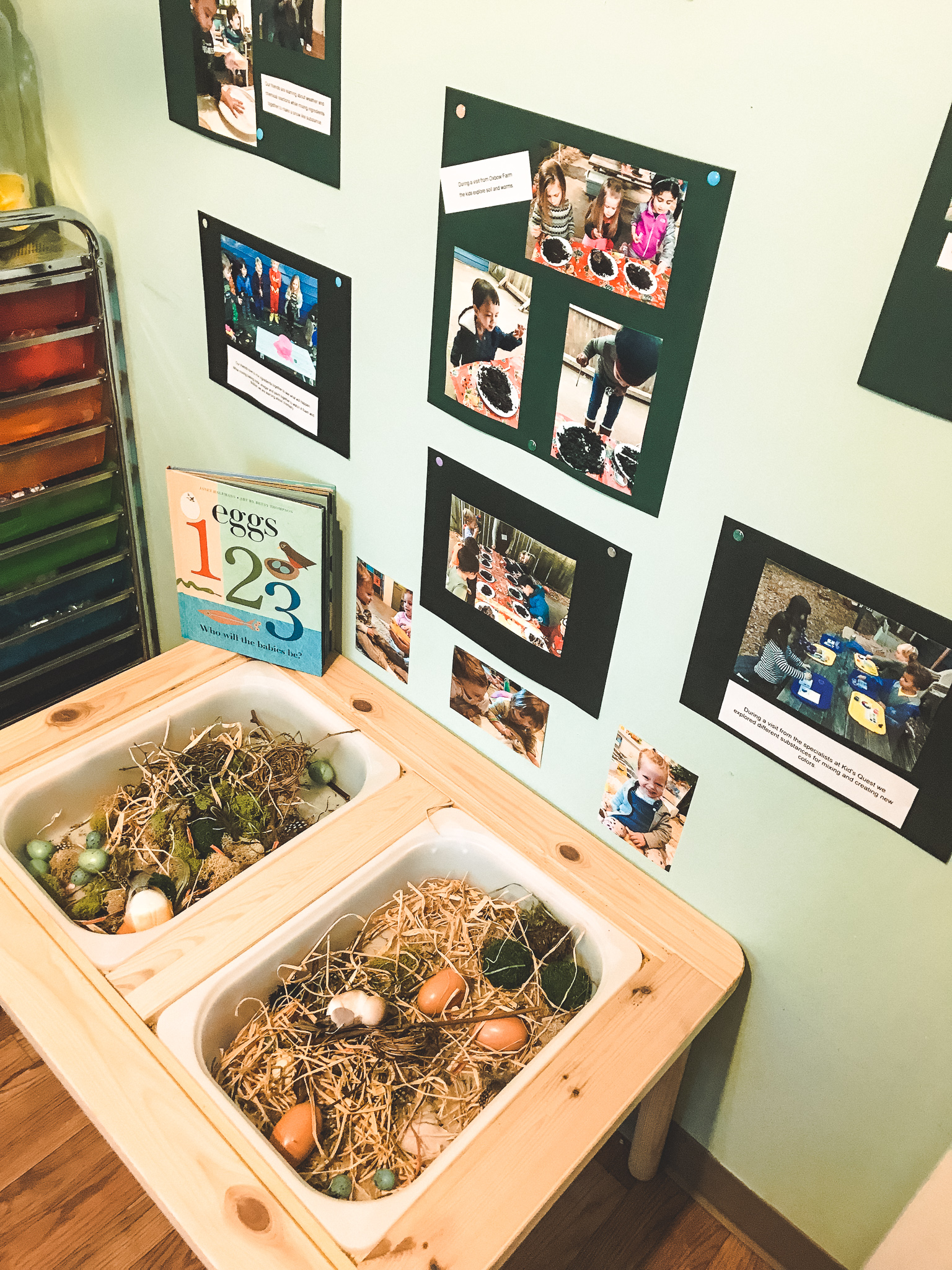 The Growing Tree and Treehouse Playcare, Preschool & Pre-K