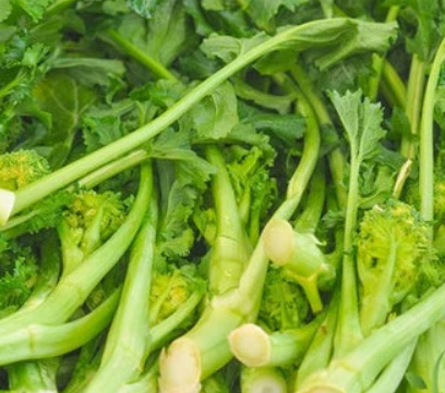 Broccoli - Rapini (seeds) | Backyard Gardener