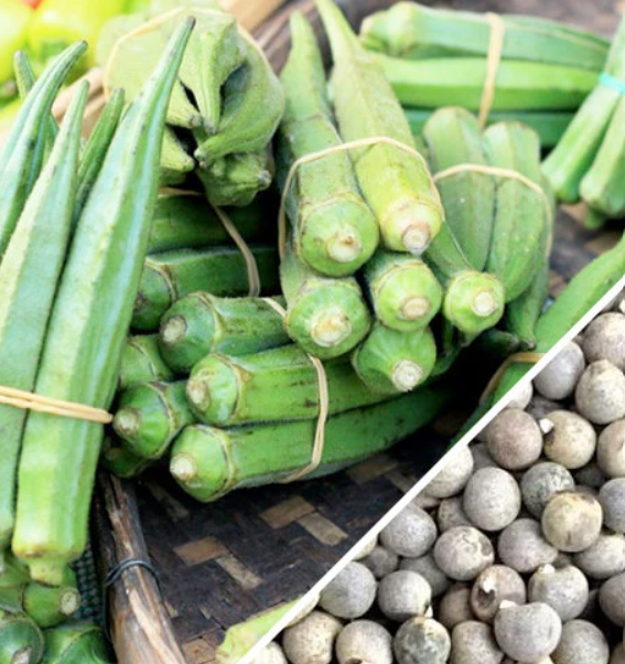 Okra - Dwarf Long Pod (seeds) | Backyard Gardener