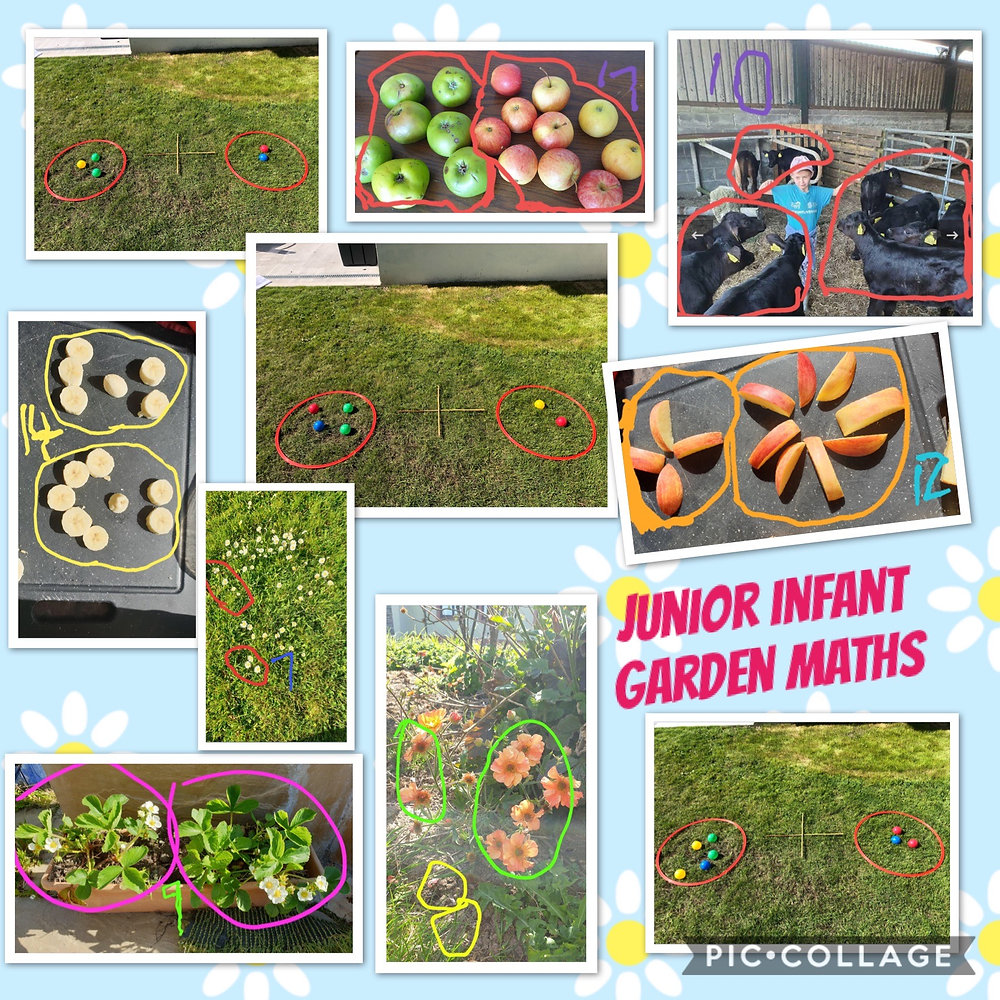 Junior Infant Garden Maths