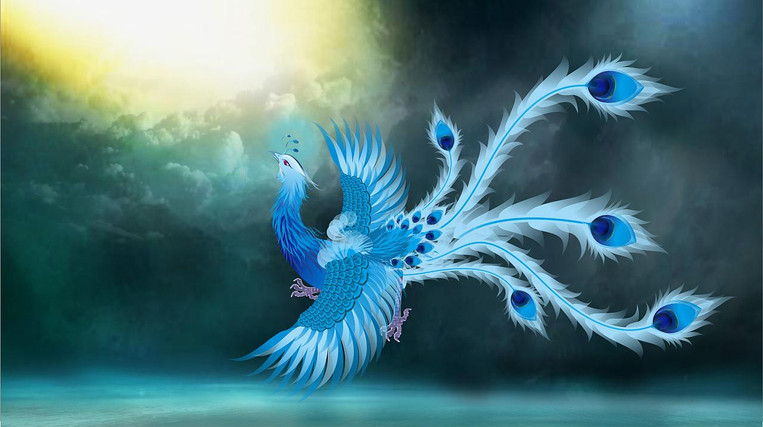 Chinese Phoenix Fenghuang - Legend, History, Utilization, and Culture ...