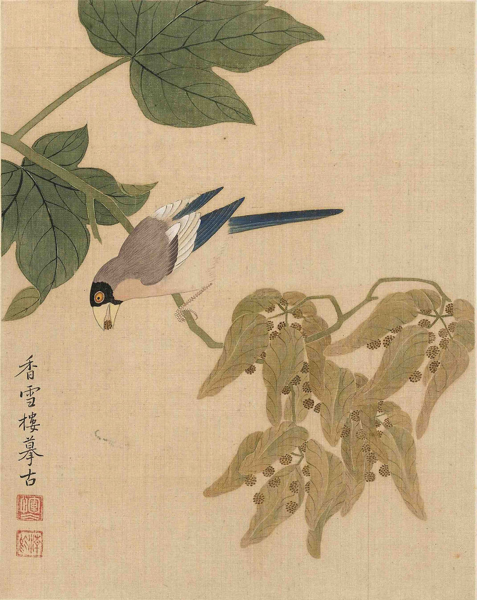 Firmiana Simplex and Mountain Bird: Qing Flower and Bird Painting ...