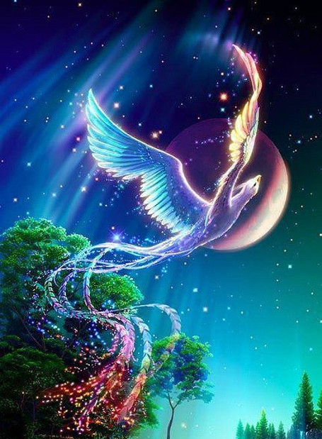 Chinese Phoenix Fenghuang - Legend, History, Utilization, and Culture ...