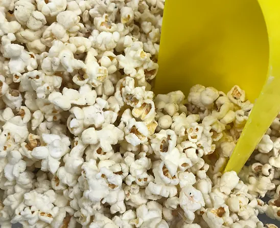 Motor City Popcorn | Shop | Detroit, Michigan