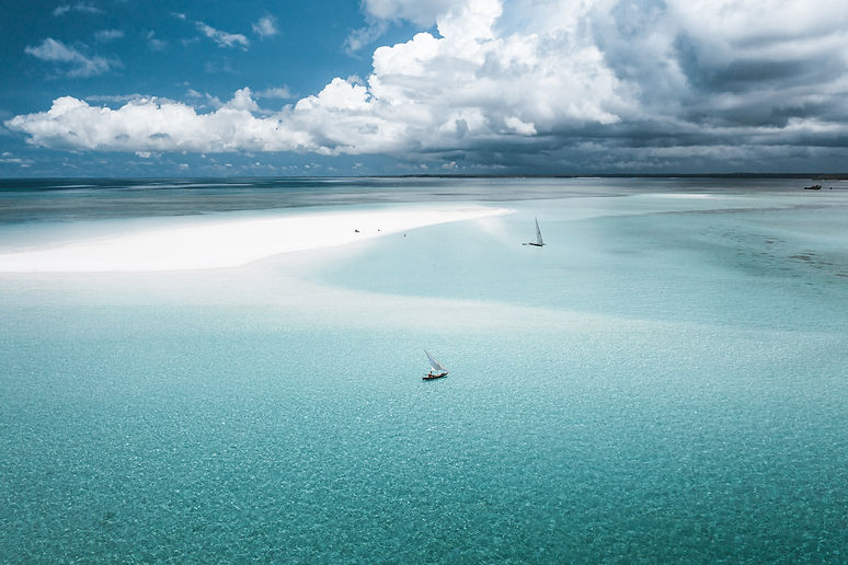 Travel and Dive Pemba in 2020 | Afro Divers