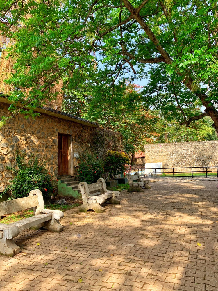 What's new at UI zoo?