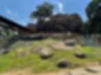 Exploring Olumo Rock, The Ancient Fortress of the Egba people of Abeokuta
