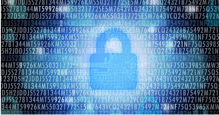 Proactive versus reactive cyber security