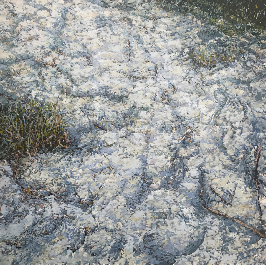 Mary Woerner Fine Arts | Art Gallery | West Palm Beach, Florida