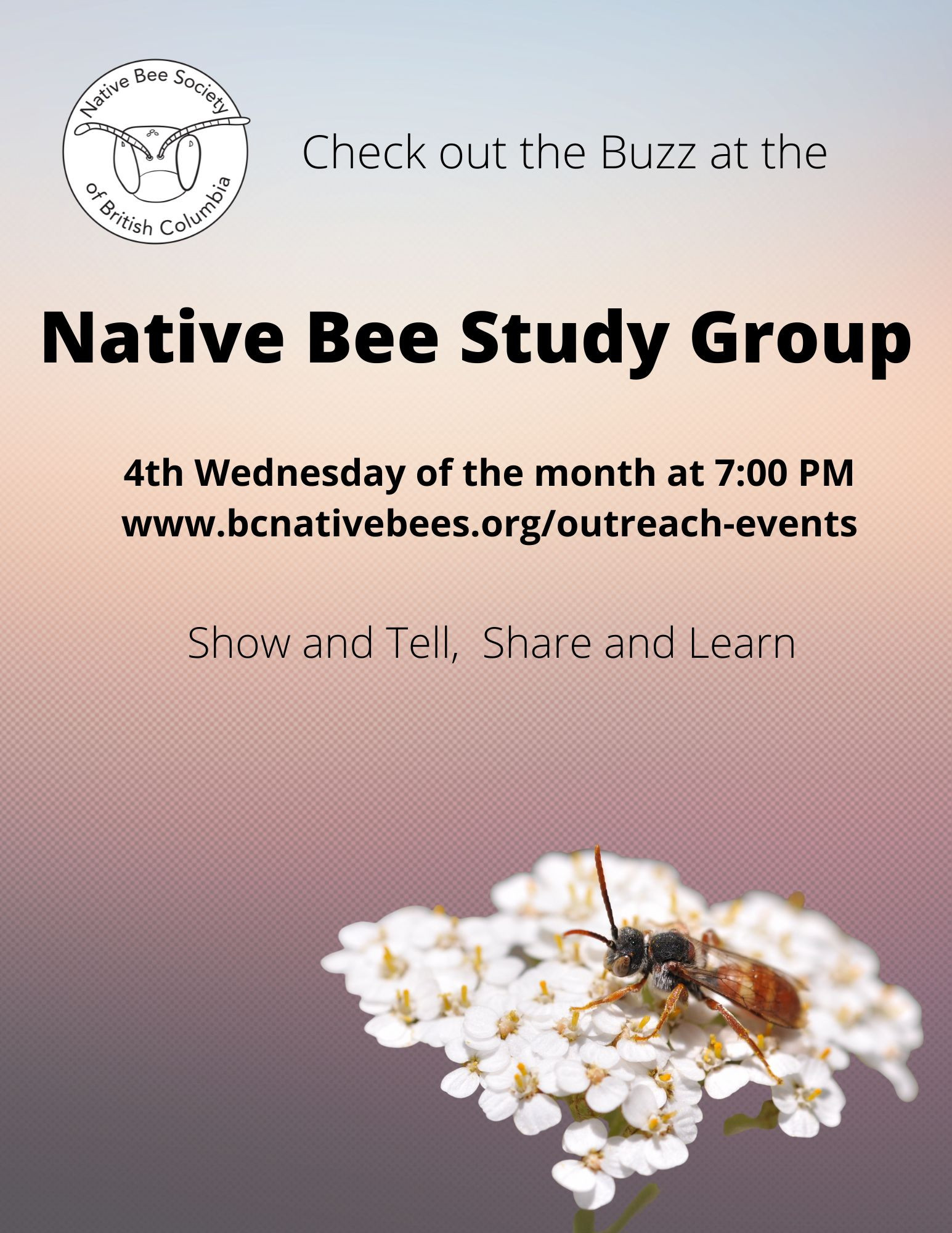 Native Bee Study Group | NBSBC