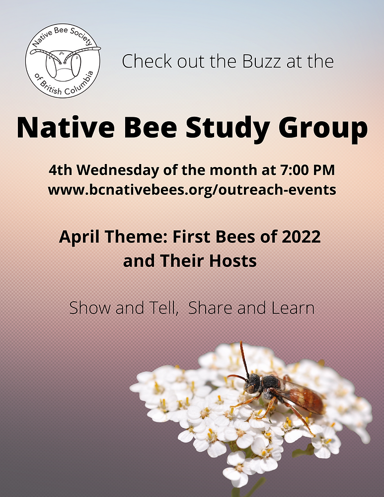 Save the Dates for our Exciting Spring 2022 Events!