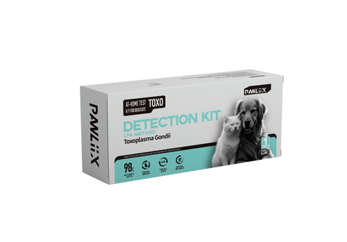 Toxoplasma gondii (TOXO) Antigen Rapid Test Kit | PAWLIIX