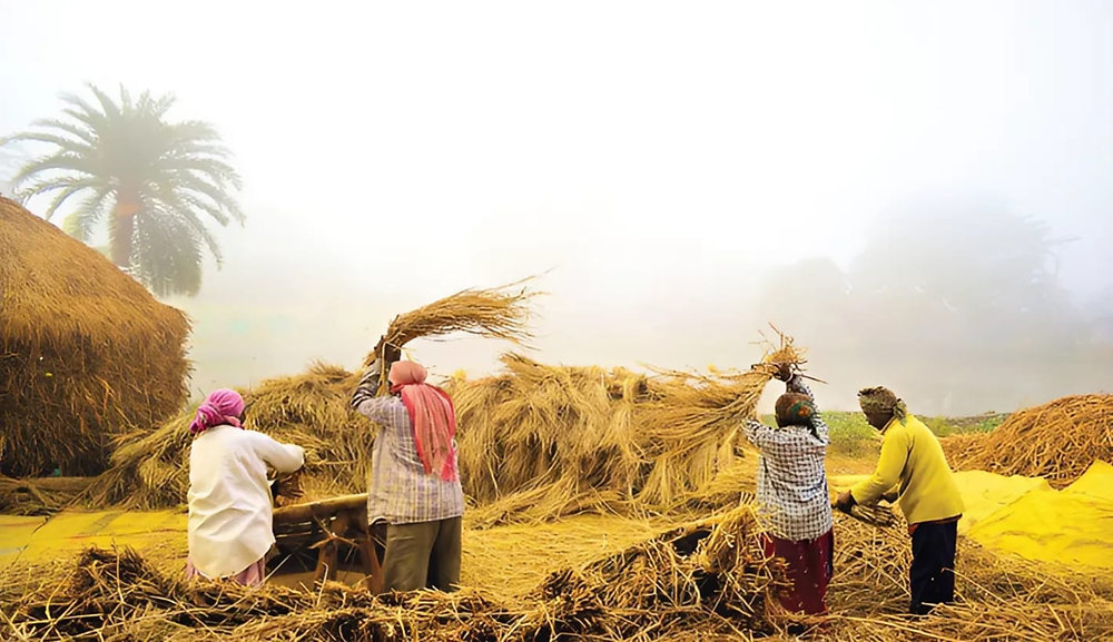 Nabanna Utsav: Celebrating Bengal's Rich Harvest Festival