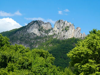 Horseback Riding | Seneca Rocks WV | Yokum's Seneca Rocks Stables