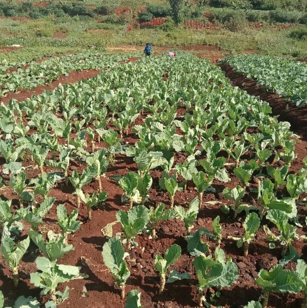 Top 4 Best Waterfalls in Nairobi (2025 Guide) - Hidden Nature Escapes