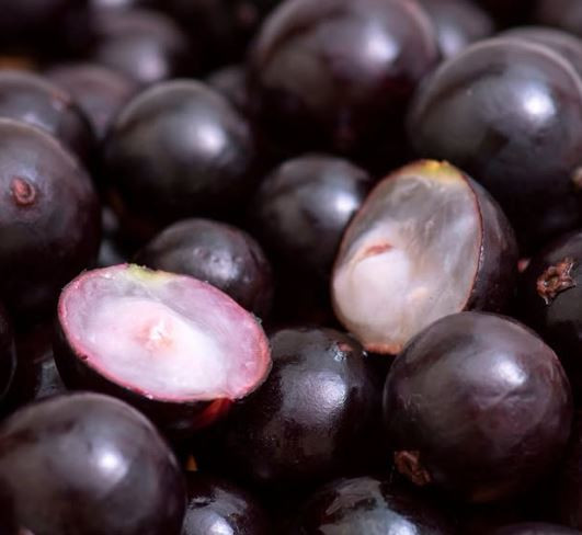 Jabuticaba Fruit (2026 Guide): Benefits, Taste, Growing Conditions & Uses