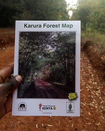 Explore the Karura Forest Map: A Guide to Nairobi in Kiambu
