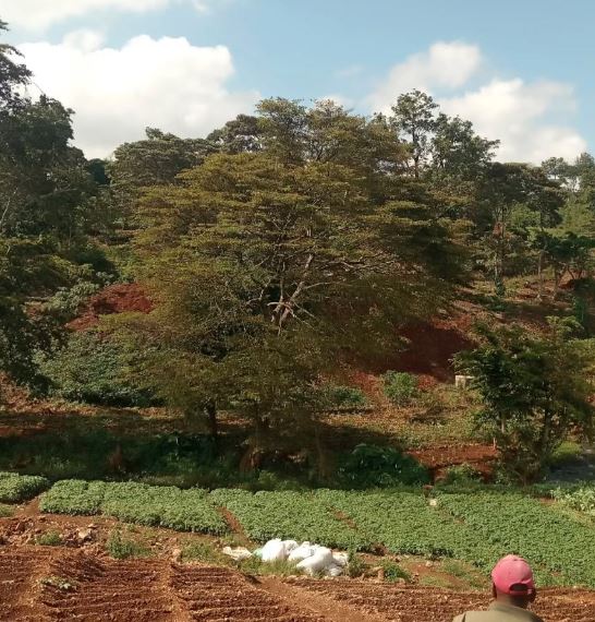 Top 4 Best Waterfalls in Nairobi (2025 Guide) - Hidden Nature Escapes