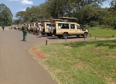 Updated 2025 KWS Fees for All National Parks in Kenya