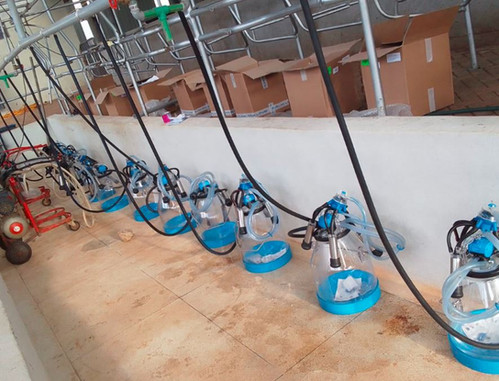 Milk Line Italy Milking Machine Fixed system for 4 bucket | Beyondforest