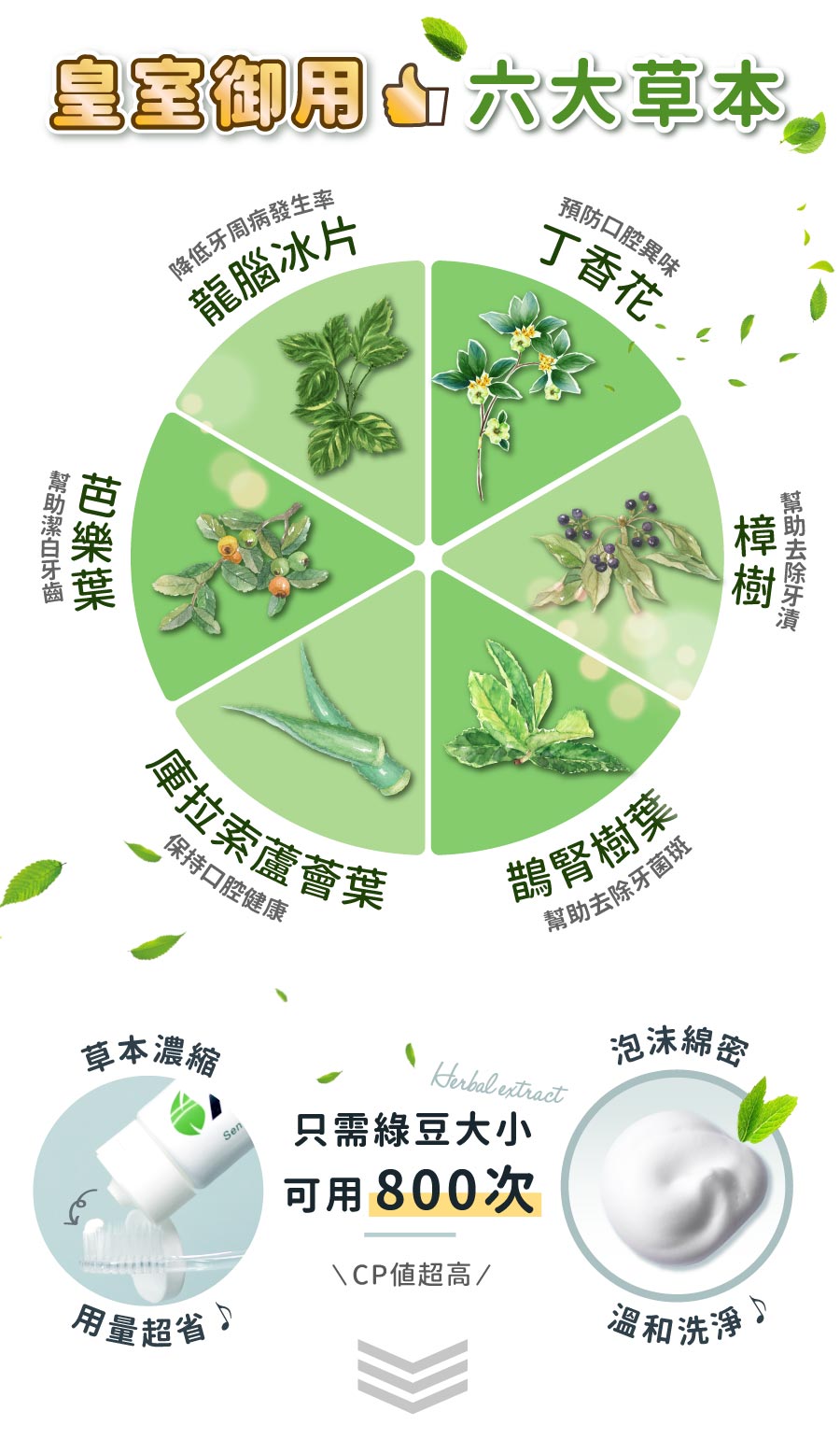 ANYA 安雅草本牙膏 預防口中異味 降低牙周病發生率 買大送小(120g送20g) - GooDoctor®元恆大生醫︱堅持有感保養概念