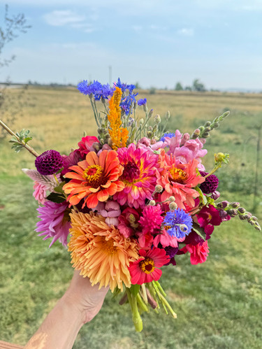 CSA Flowers AUGUST 2026 | Copper Acres Farm