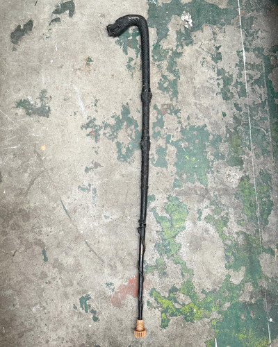 Stunning Iron Walking Stick/Cane with Siamese Water Dragon Handle | Mysite