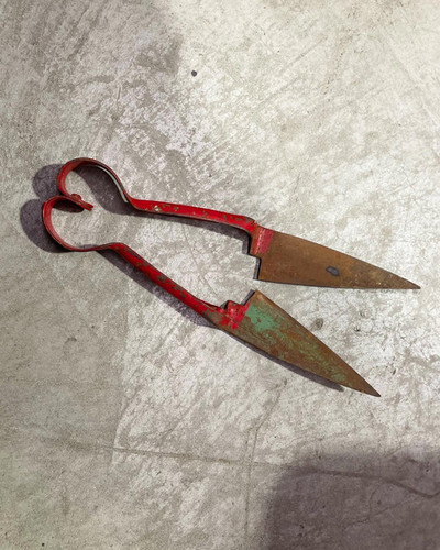 Antique C.1920’s-30’s Cast Iron Sheep Wool Shears by Harp Brand ...