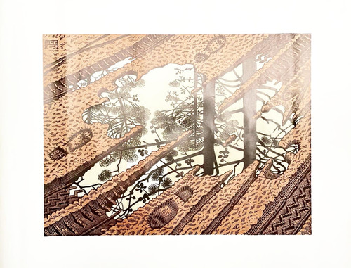 Vintage Print of ‘Puddle’ by Maurits Cornelis Escher | Mysite