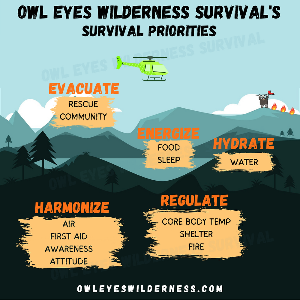 Survival Priorities- What do we REALLY need?