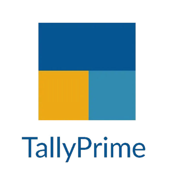Everything You Need to Know About Tally
