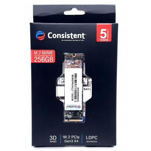 Consistent 256GB M.2 NVMe SSD with 5 Years Warranty | GIGASTAR